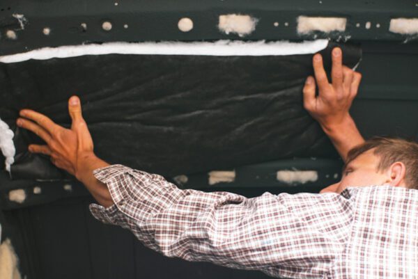 3M Thinsulate vs. Havelock Wool for Camper Van Insulation